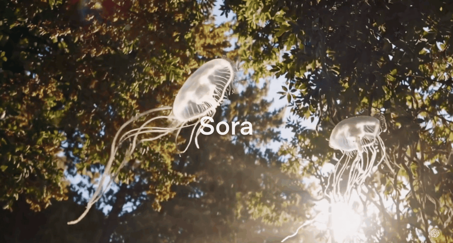 Soraの動画生成の使い方は？？料金や商用利用について徹底解説！！ - AI REVIEW